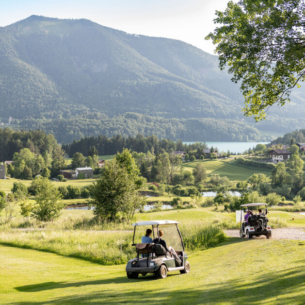 Golfplatz-Waldhof im Überblick - Golfplatz Waldhof - Golfclub Waldhof